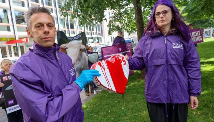 Action GAIA au siège du PS | GAIA